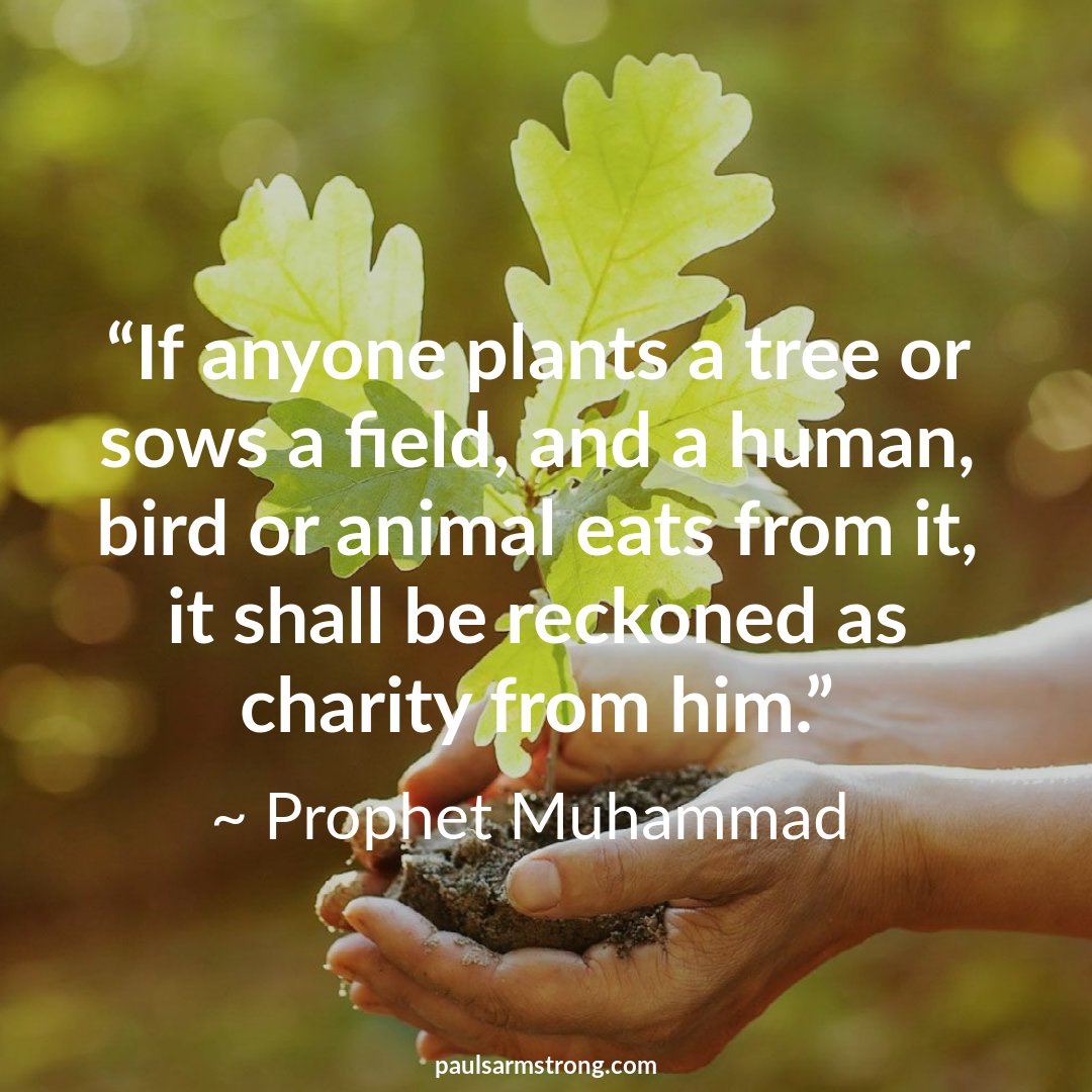 Prophet Muhammad on Planting Trees – Paul Salahuddin Armstrong