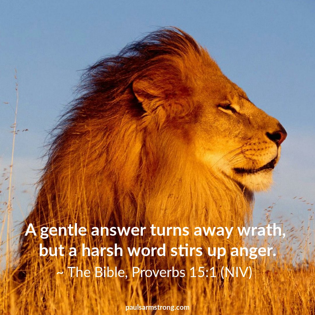 A Gentle Answer – Paul Salahuddin Armstrong