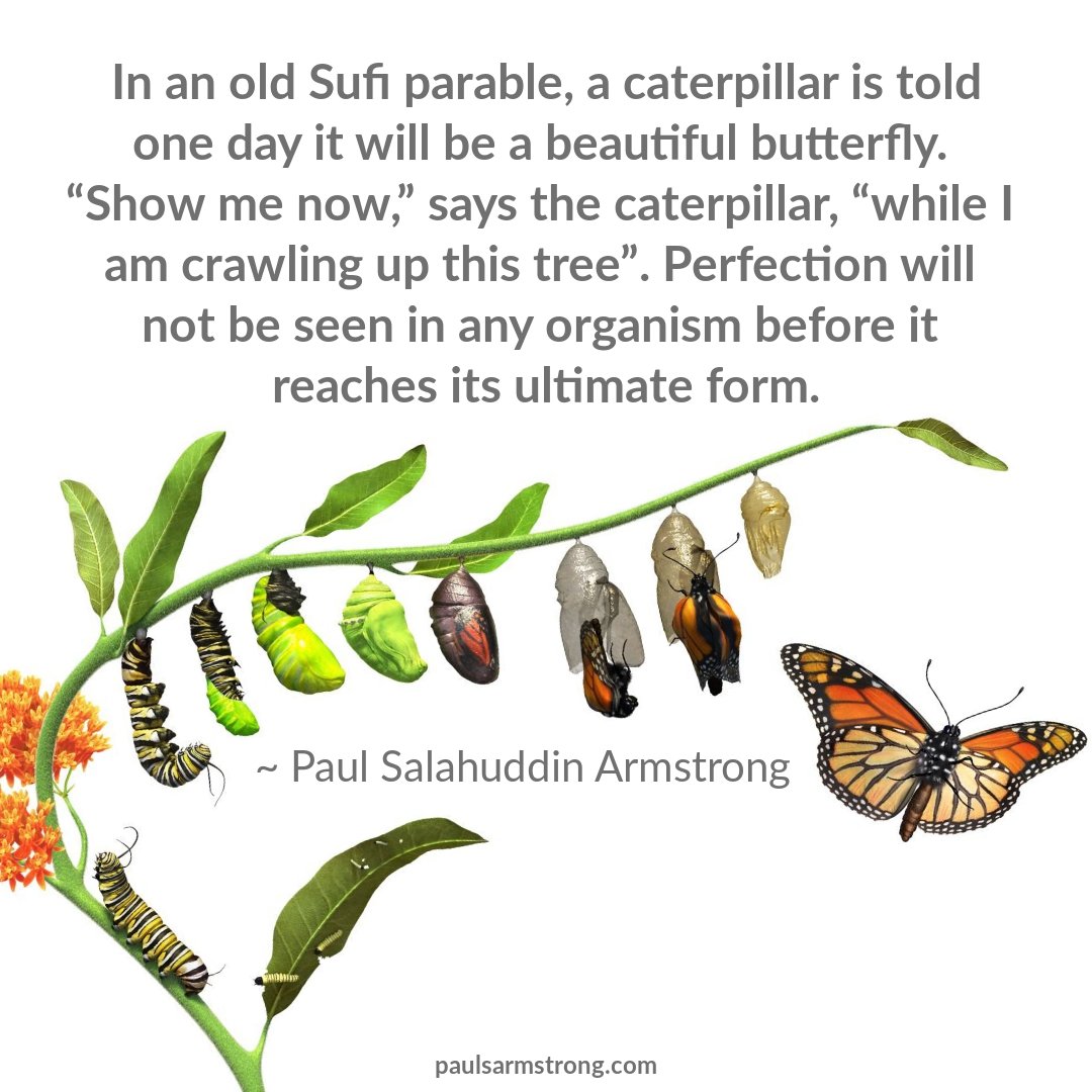 The Caterpillar Butterfly 🐛🦋 – Paul Salahuddin Armstrong