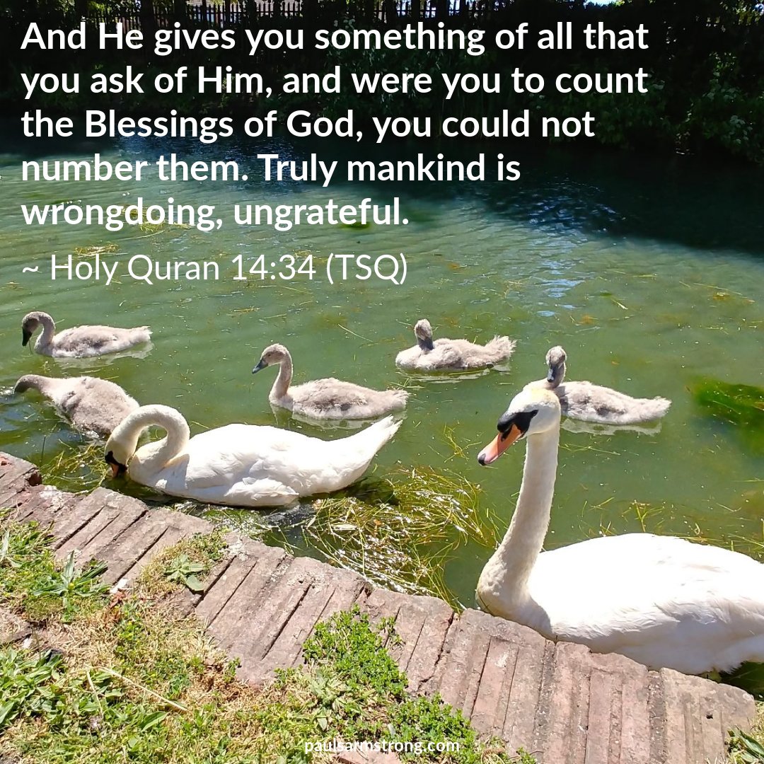 The Infinite Blessings Of Allah – Paul Salahuddin Armstrong