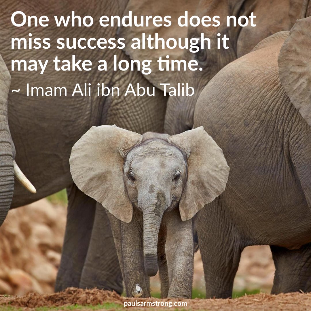 Endurance Key To Success – Paul Salahuddin Armstrong